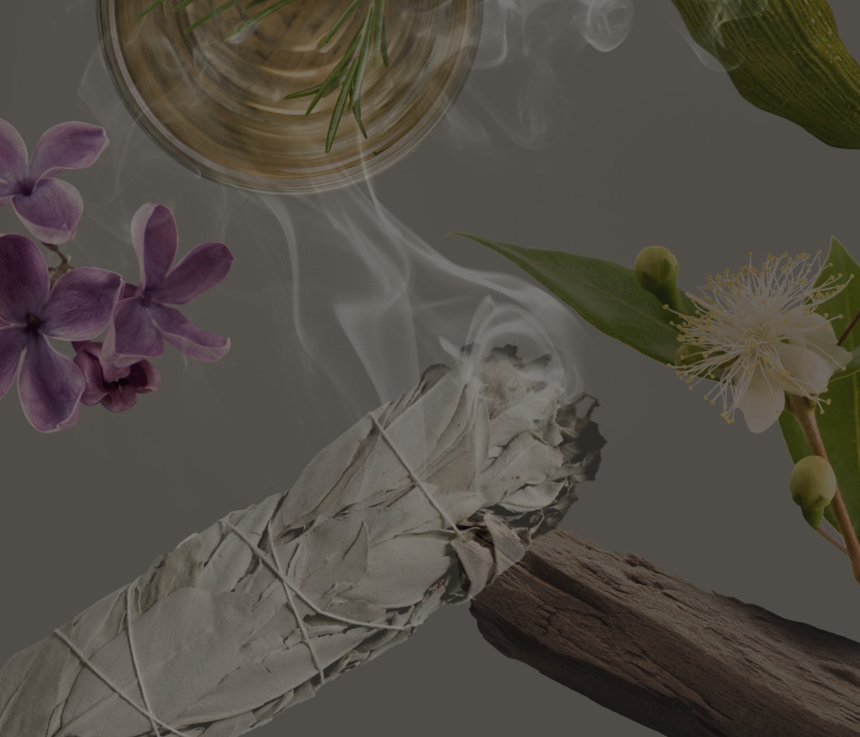 CARTE BLANCHE – ODE ONA