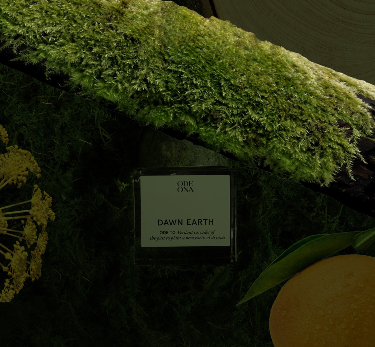 DAWN EARTH – ODE ONA